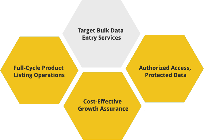 Target Data Entry Services | Target Data Upload Services